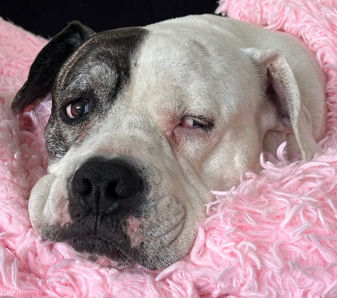 City Garage Theatre – "Art is not a mirror held up to reality, but a ...